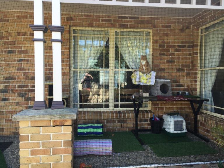 Fergus’s new cat enclosure - Safecats